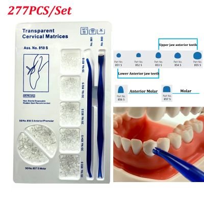 Transprant Cervical Matrices – Javed Dental Supply